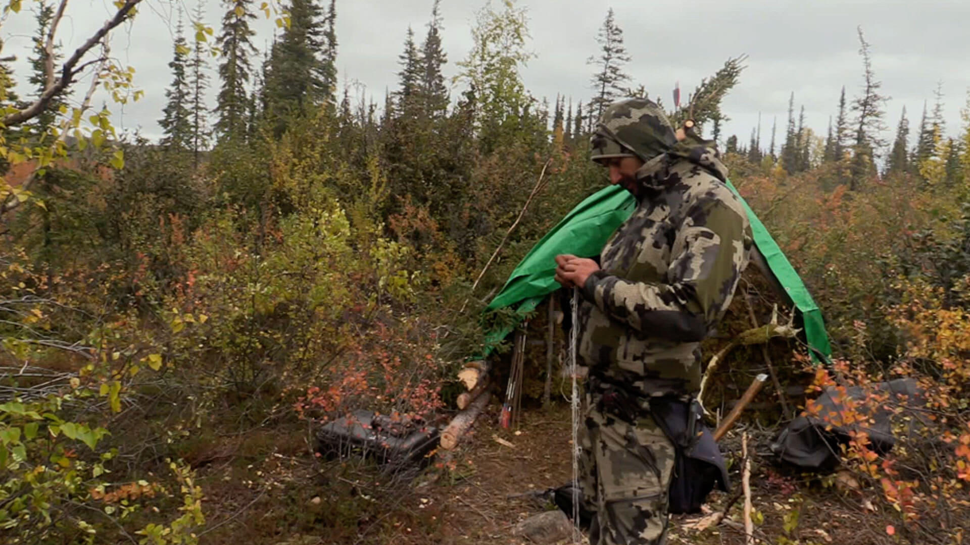 Alone (S06E04): The Moose Summary - Season 6 Episode 4 Guide
