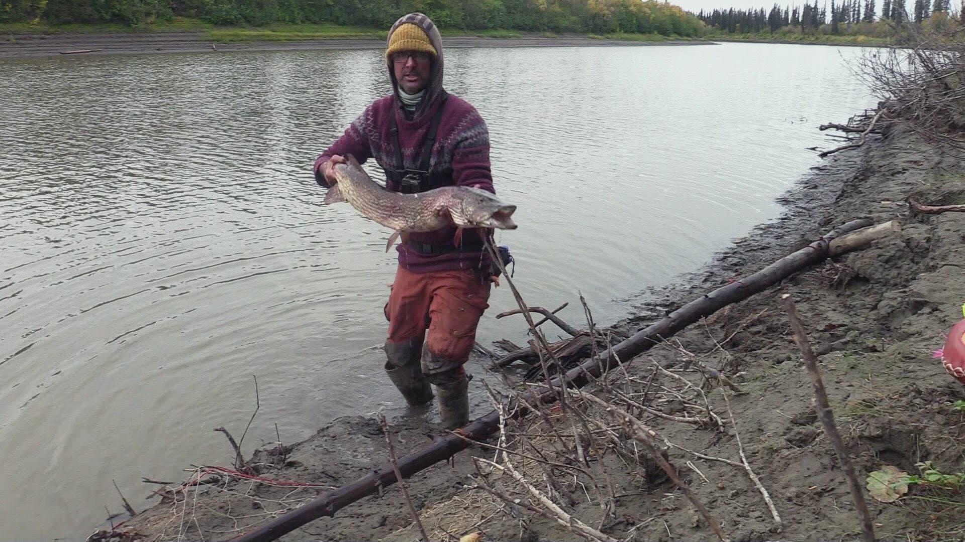 Alone (S11E03): Fortune Summary - Season 11 Episode 3 Guide