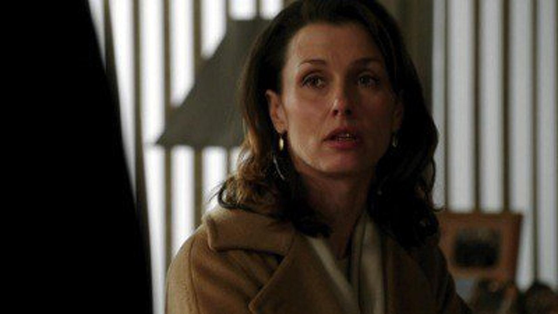 Blue Bloods (S02E19): Some Kind of Hero Summary - Season 2 Episode 19 Guide