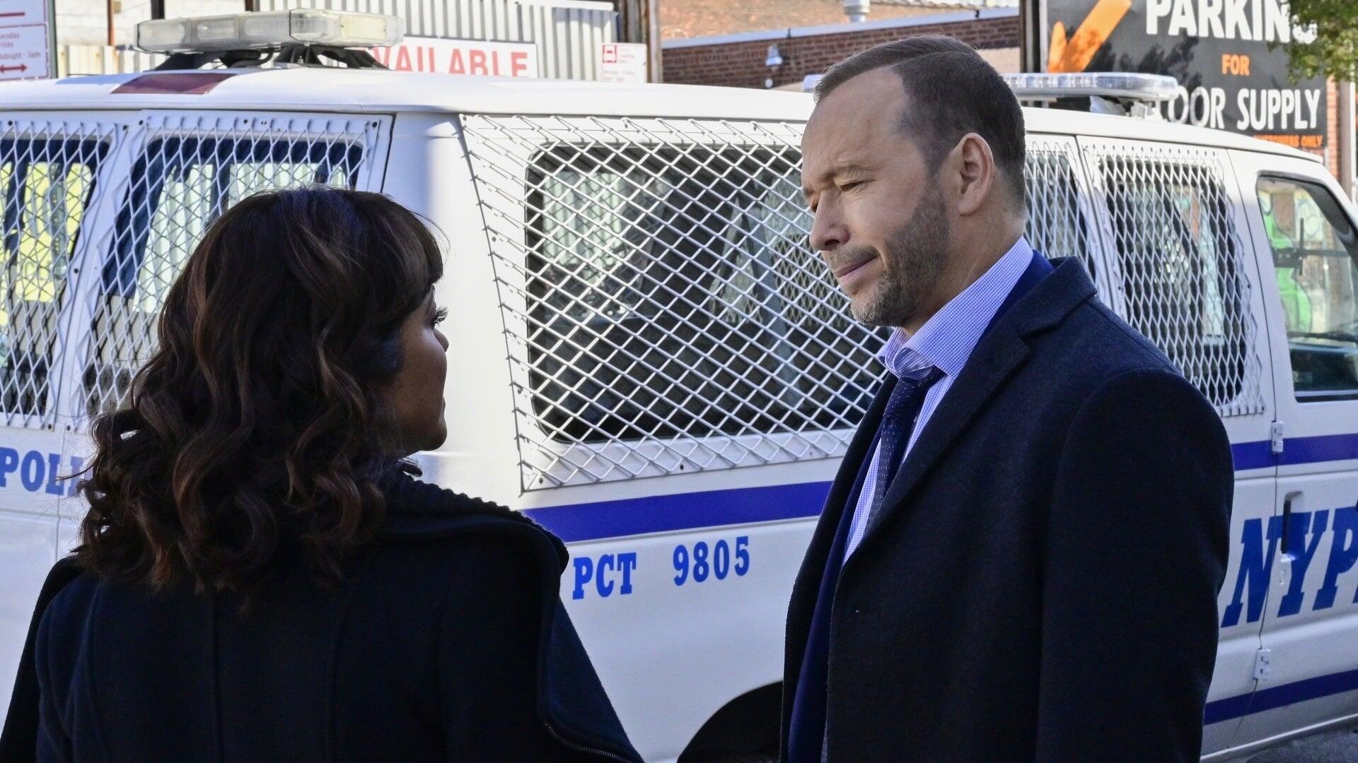 Blue Bloods (S13E08): Poetic Justice Summary - Season 13 Episode 8 Guide