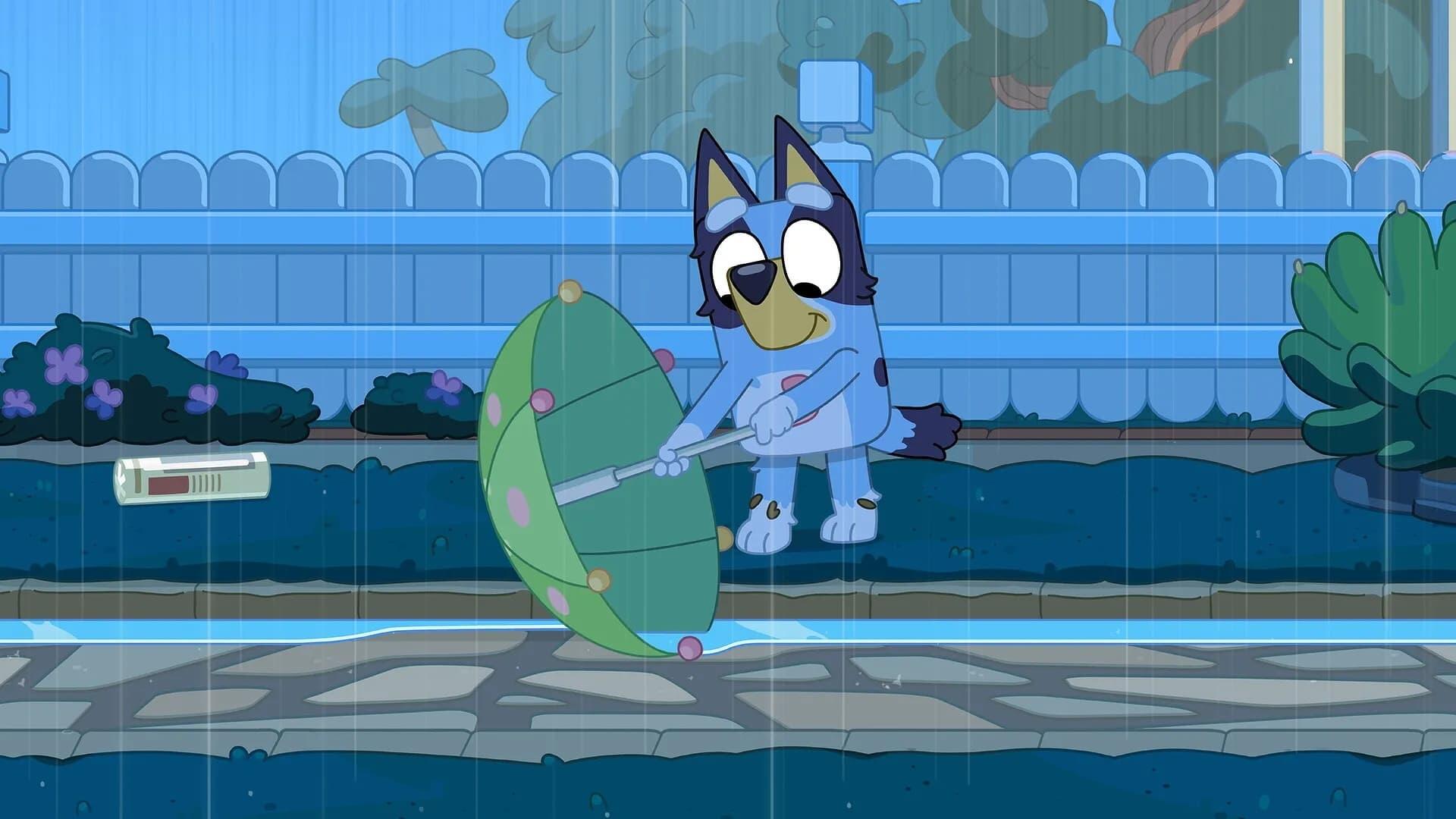 Bluey (S03E18): Rain Summary - Season 3 Episode 18 Guide