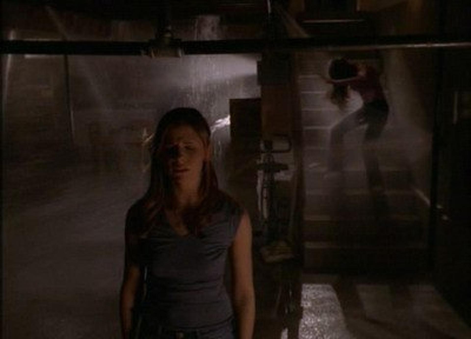 Buffy the Vampire Slayer (S06E04): Flooded Summary - Season 6 Episode 4 ...