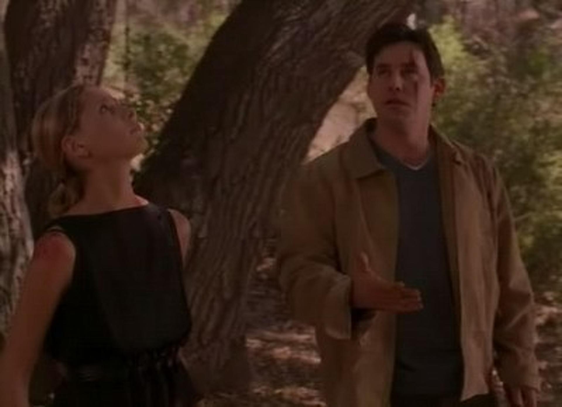 Buffy the Vampire Slayer (S07E05): Selfless Summary - Season 7 Episode ...
