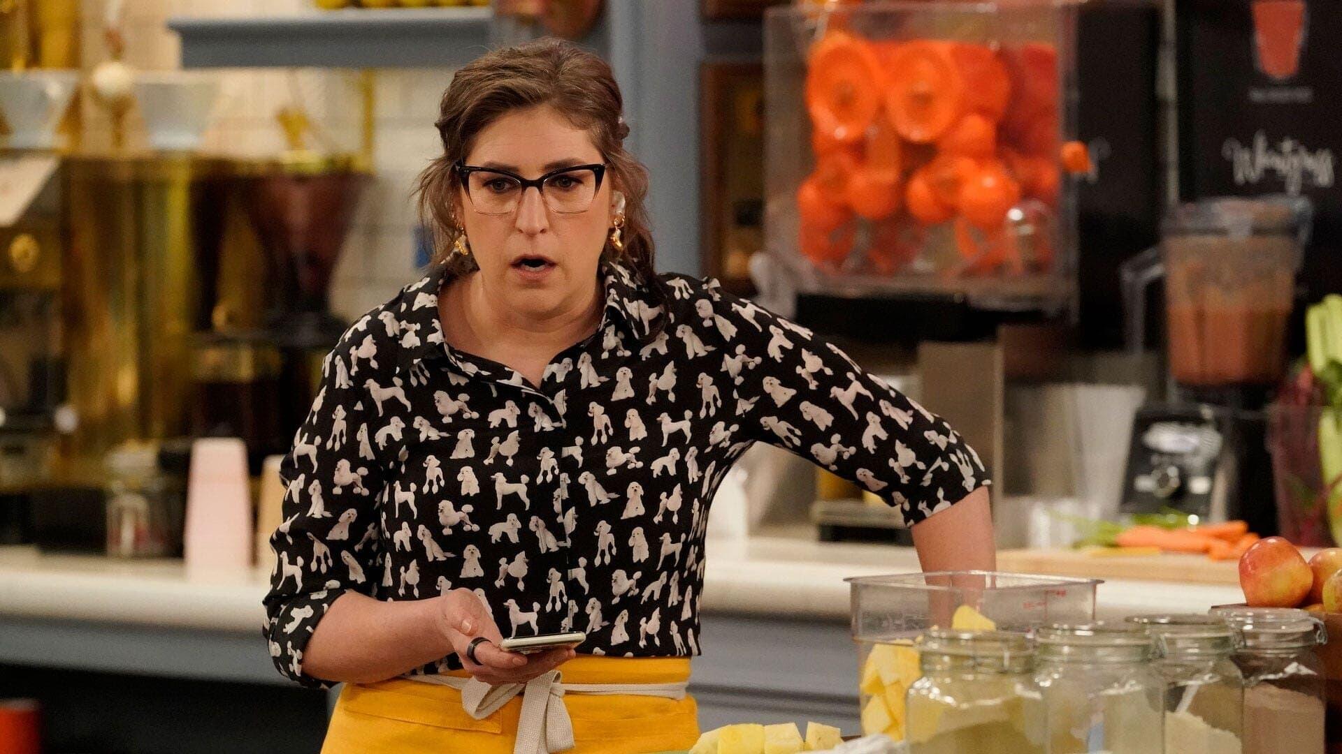 Call Me Kat (S03E22): Call Me A Donut Wall Summary - Season 3 Episode ...