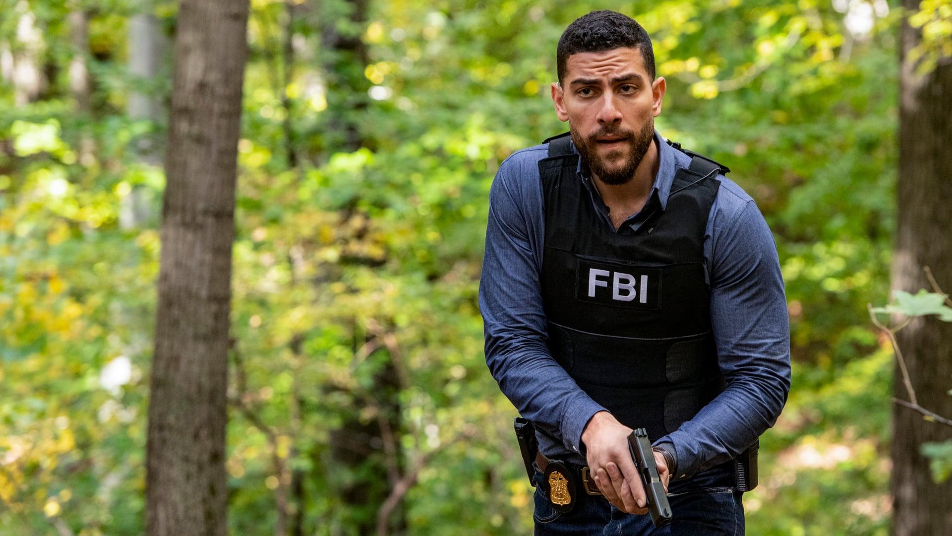 FBI (S01E08): This Land Is Your Land Summary - Season 1 Episode 8 Guide
