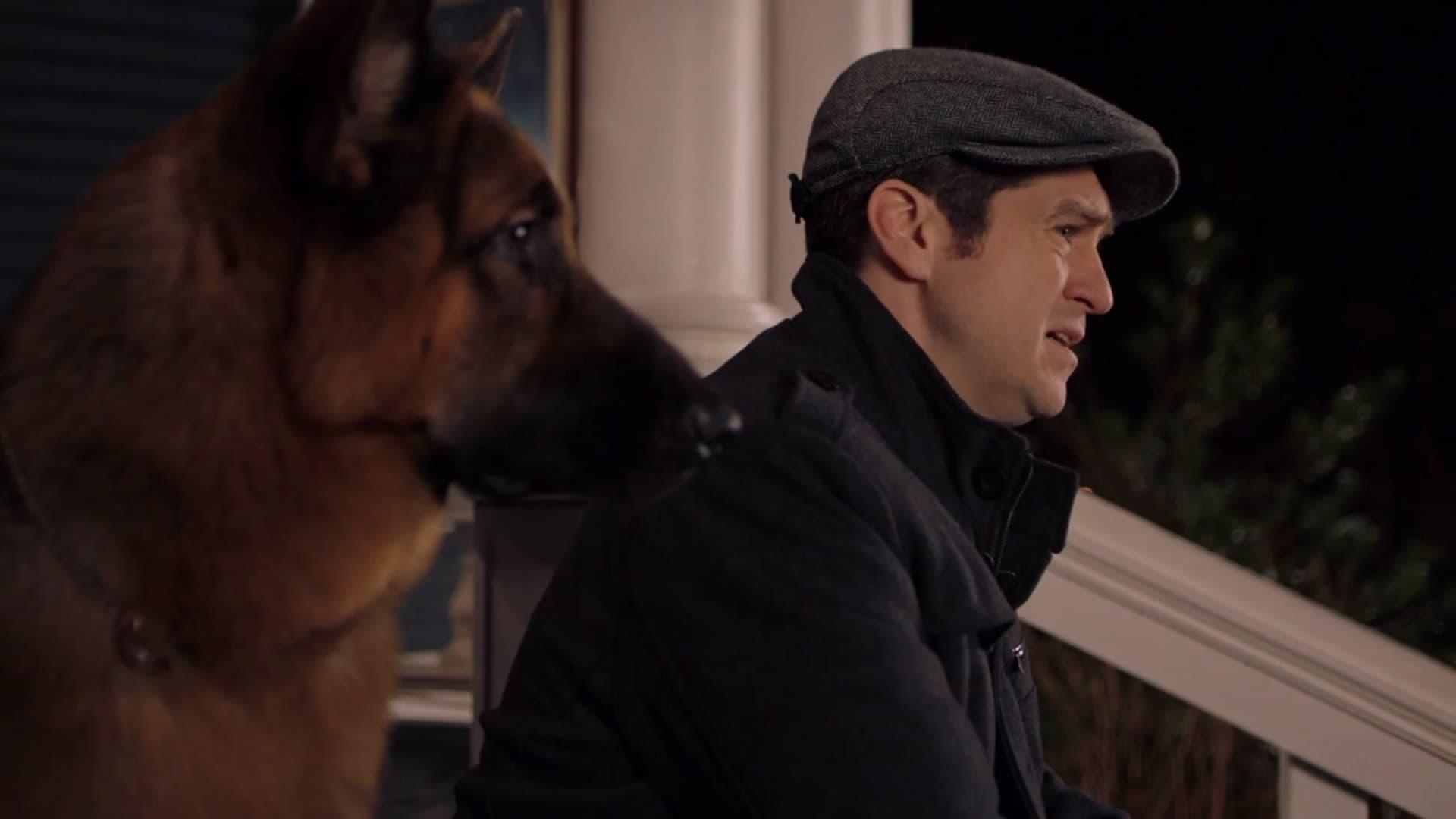 Hudson & Rex (S01E10): Art of Darkness Summary - Season 1 Episode 10 Guide