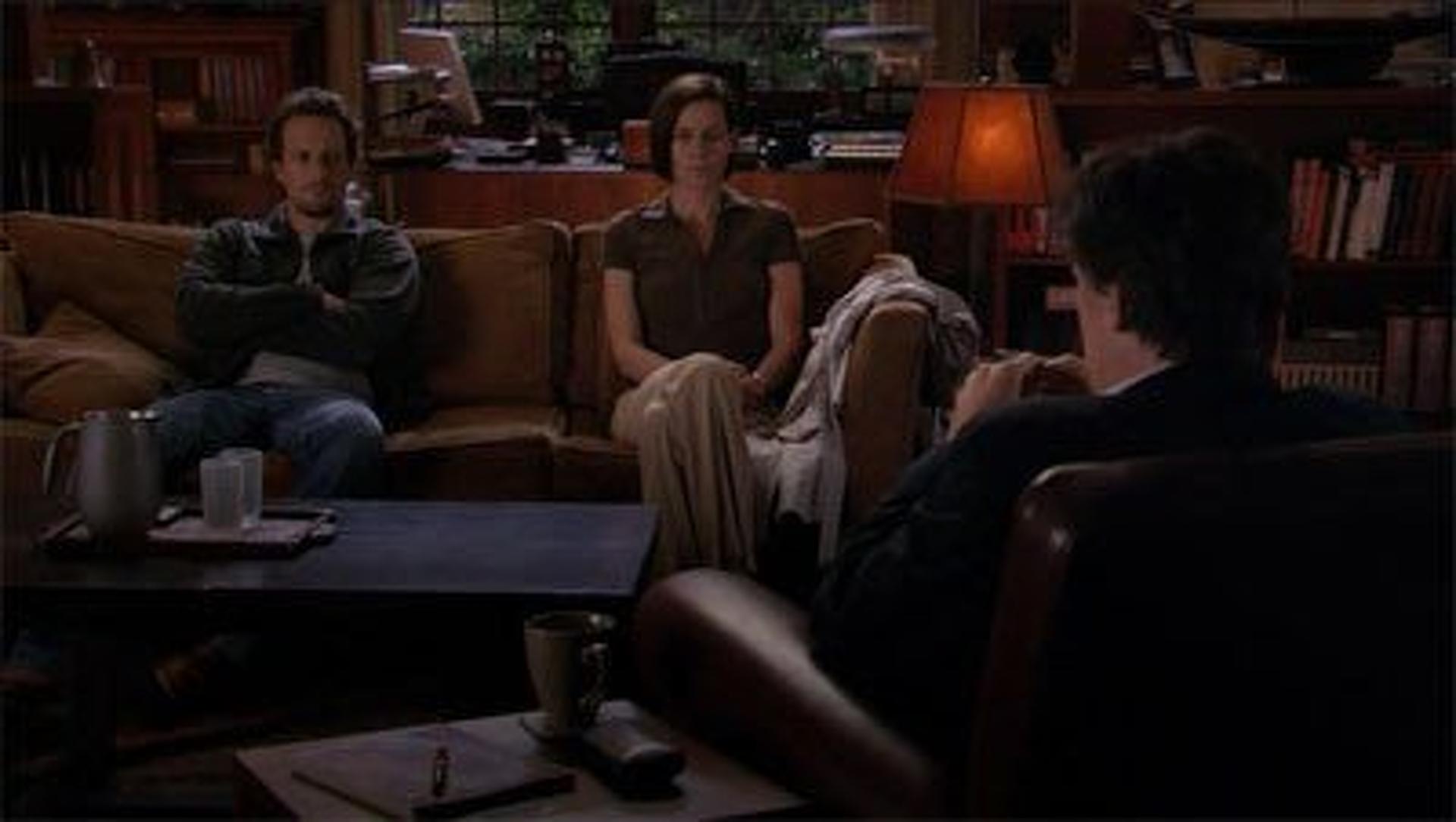In Treatment (S01E42): Jake and Amy - Week Nine Summary - Season 1 ...