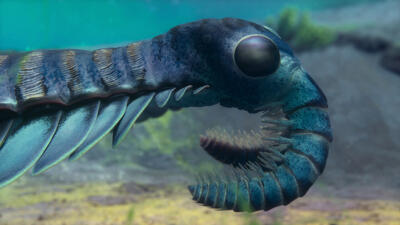 Life on Our Planet Season 1 Episode Guide & Summaries and TV Show Schedule