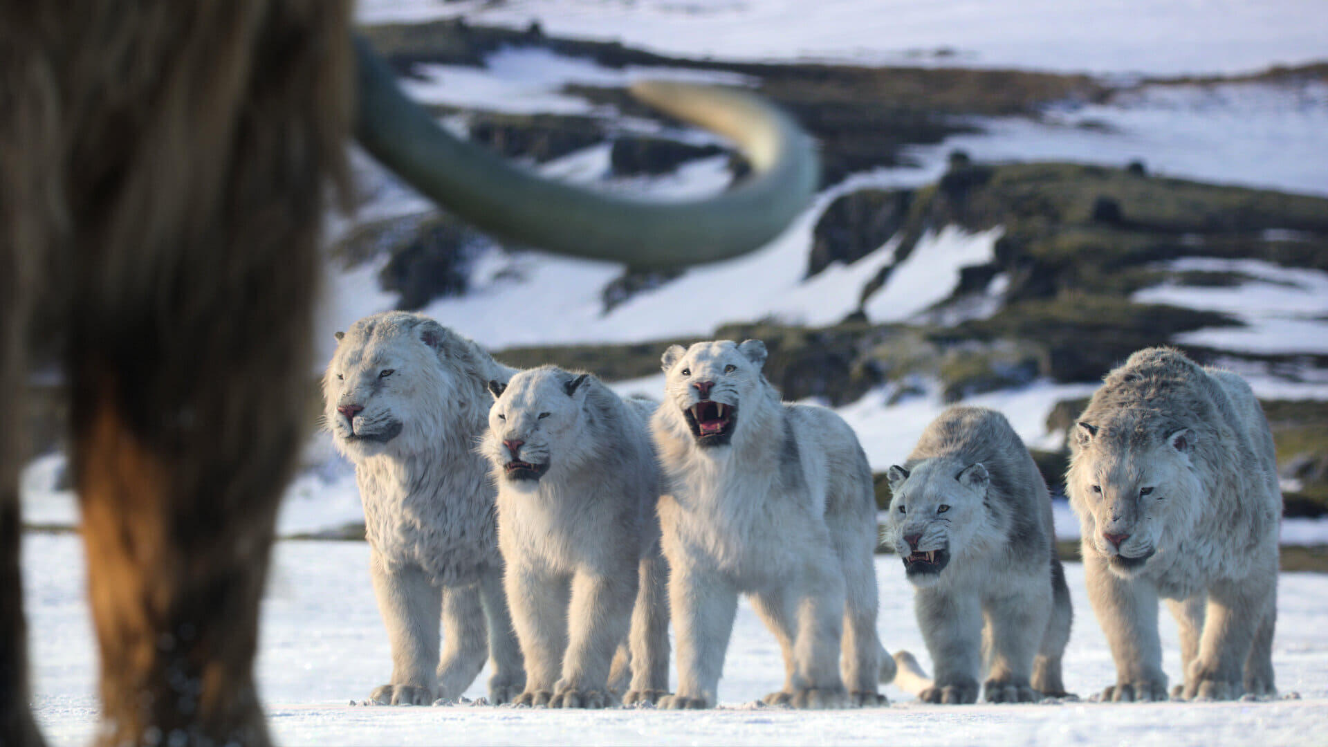 Life on Our Planet (S01E08): Chapter 8: Age of Ice and Fire Summary ... Life on Our Planet (S01E08): Chapter 8: Age of Ice and Fire Summary ...