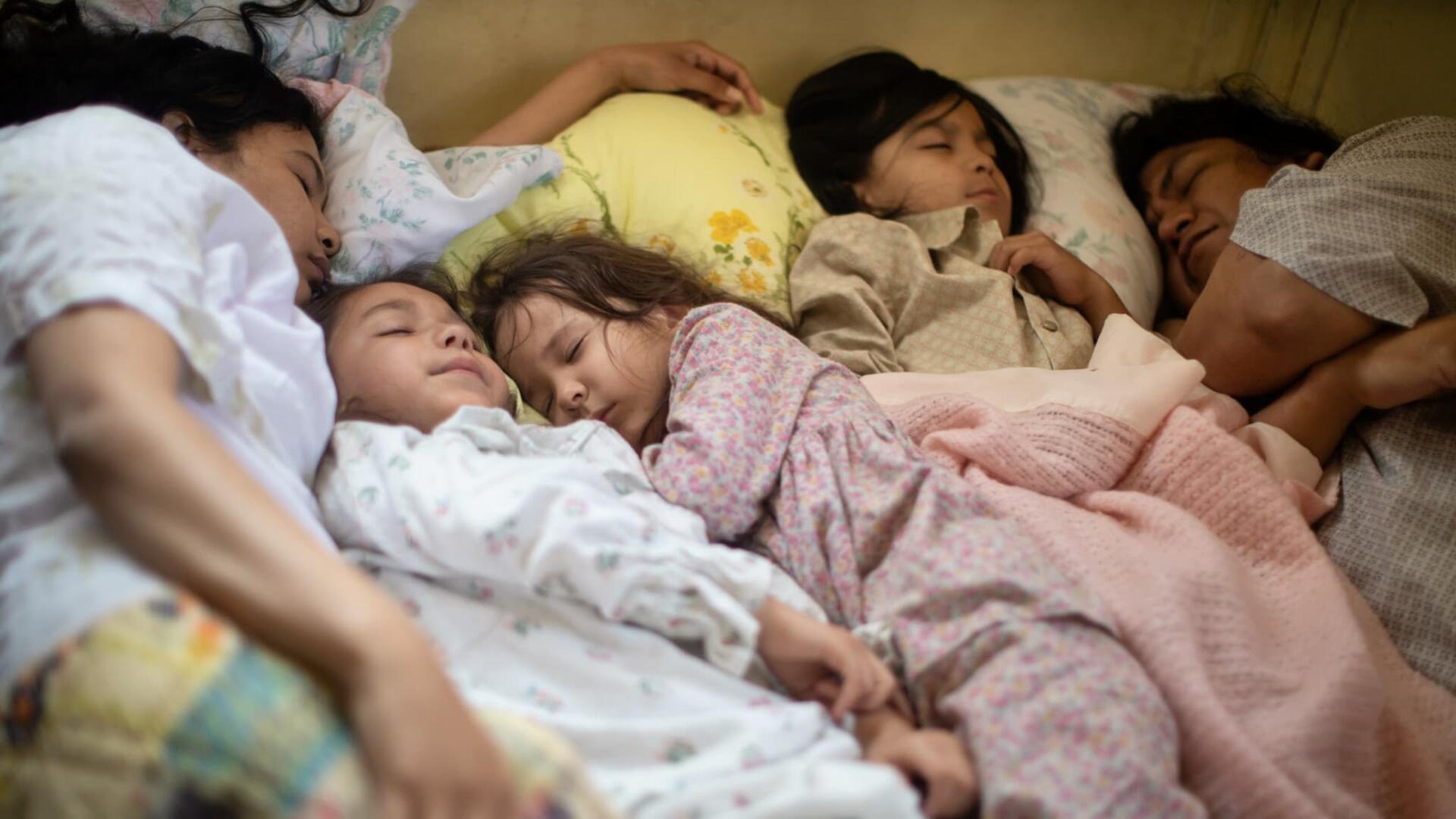 Little Bird (S01E01): Love is all Around Summary - Season 1 Episode 1 Guide