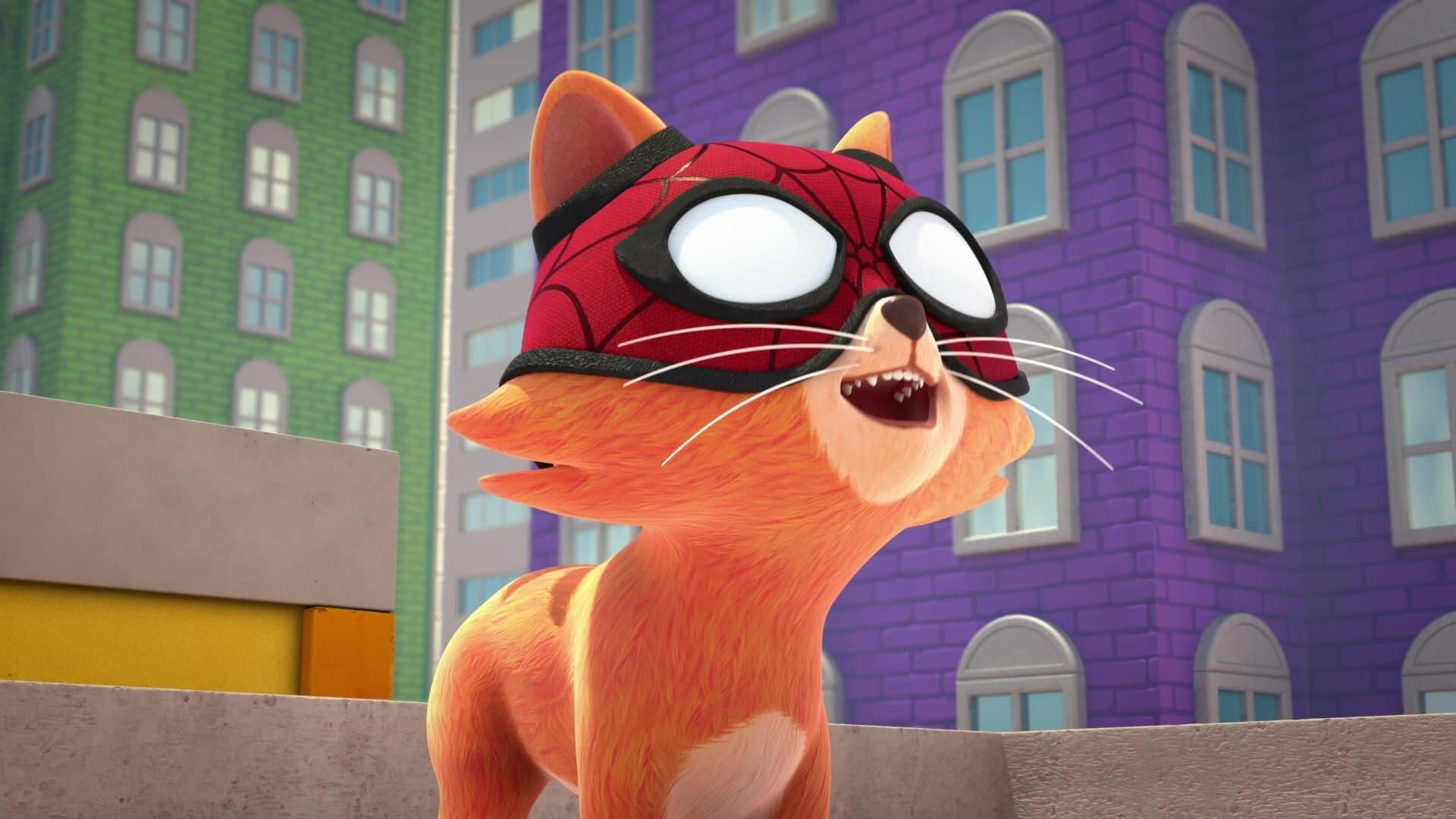 Marvel's Spidey and His Amazing Friends (S02E36): Spidey Cat Summary ...