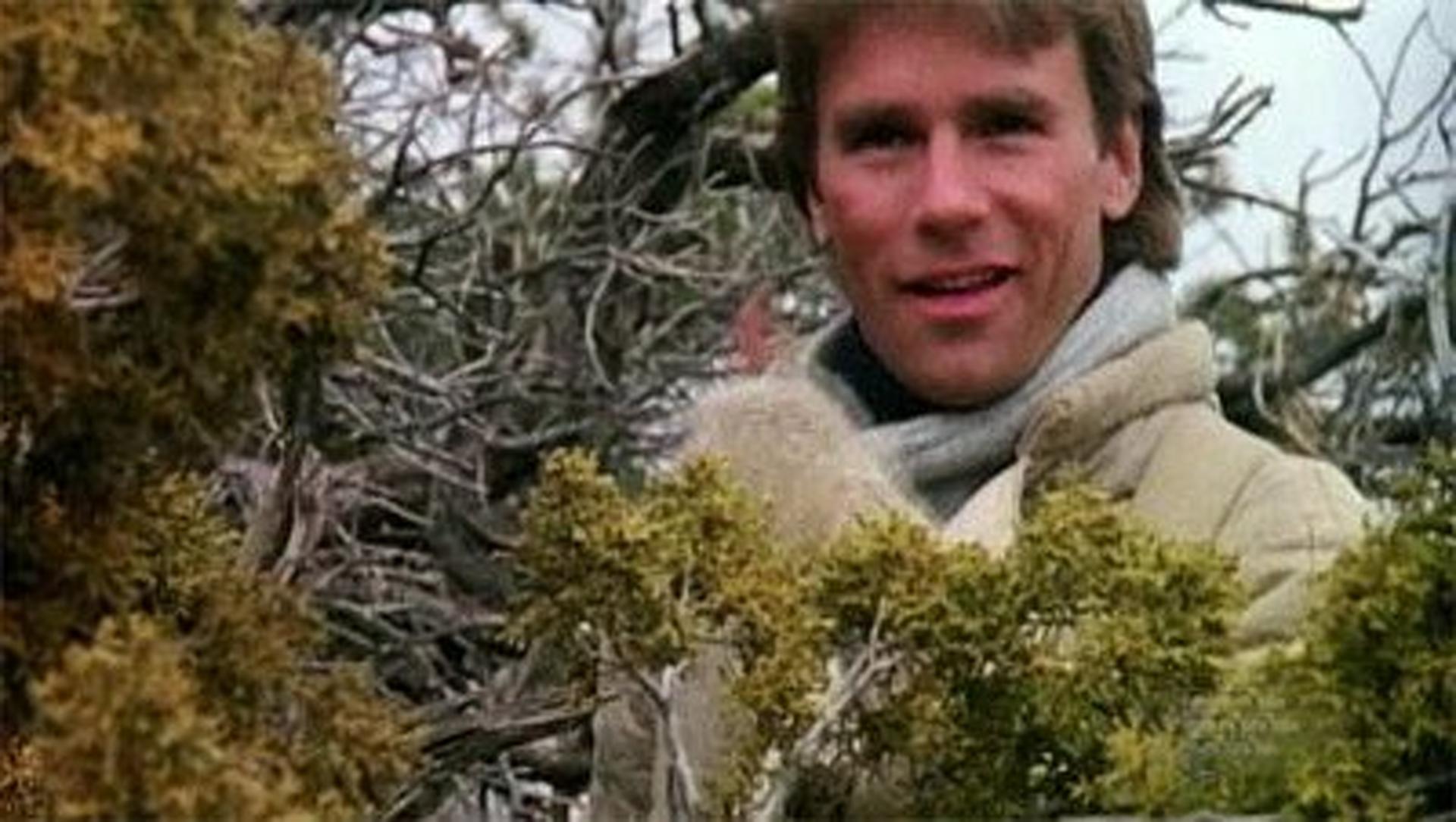 MythBusters (S06E06): MacGyver Special Summary - Season 6 Episode 6 Guide