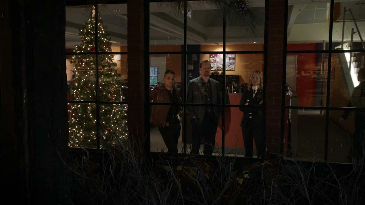 NCIS (S17E10): The North Pole Summary - Season 17 Episode 10 Guide