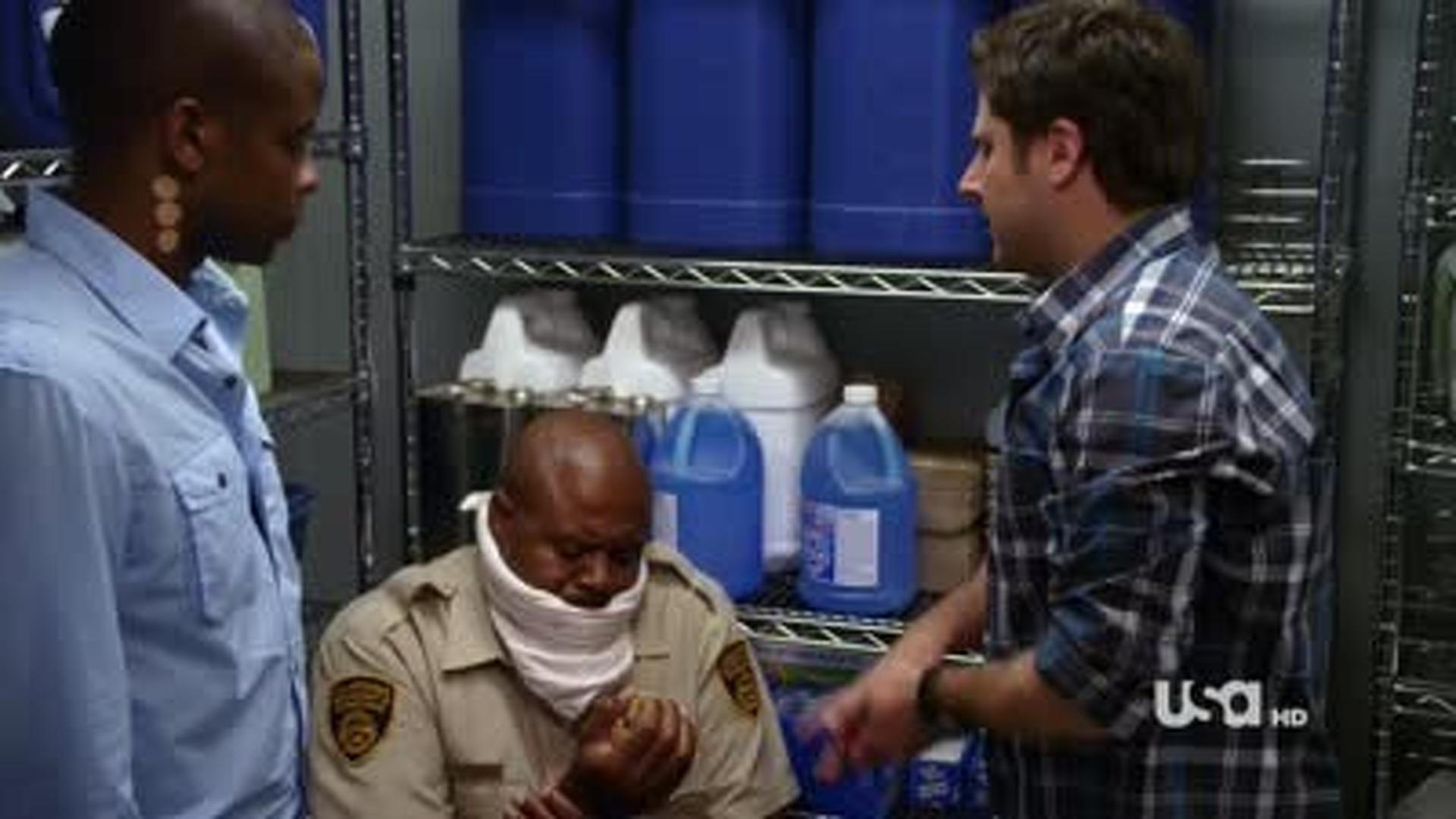 Psych (S05E07): Ferry Tale Summary - Season 5 Episode 7 Guide