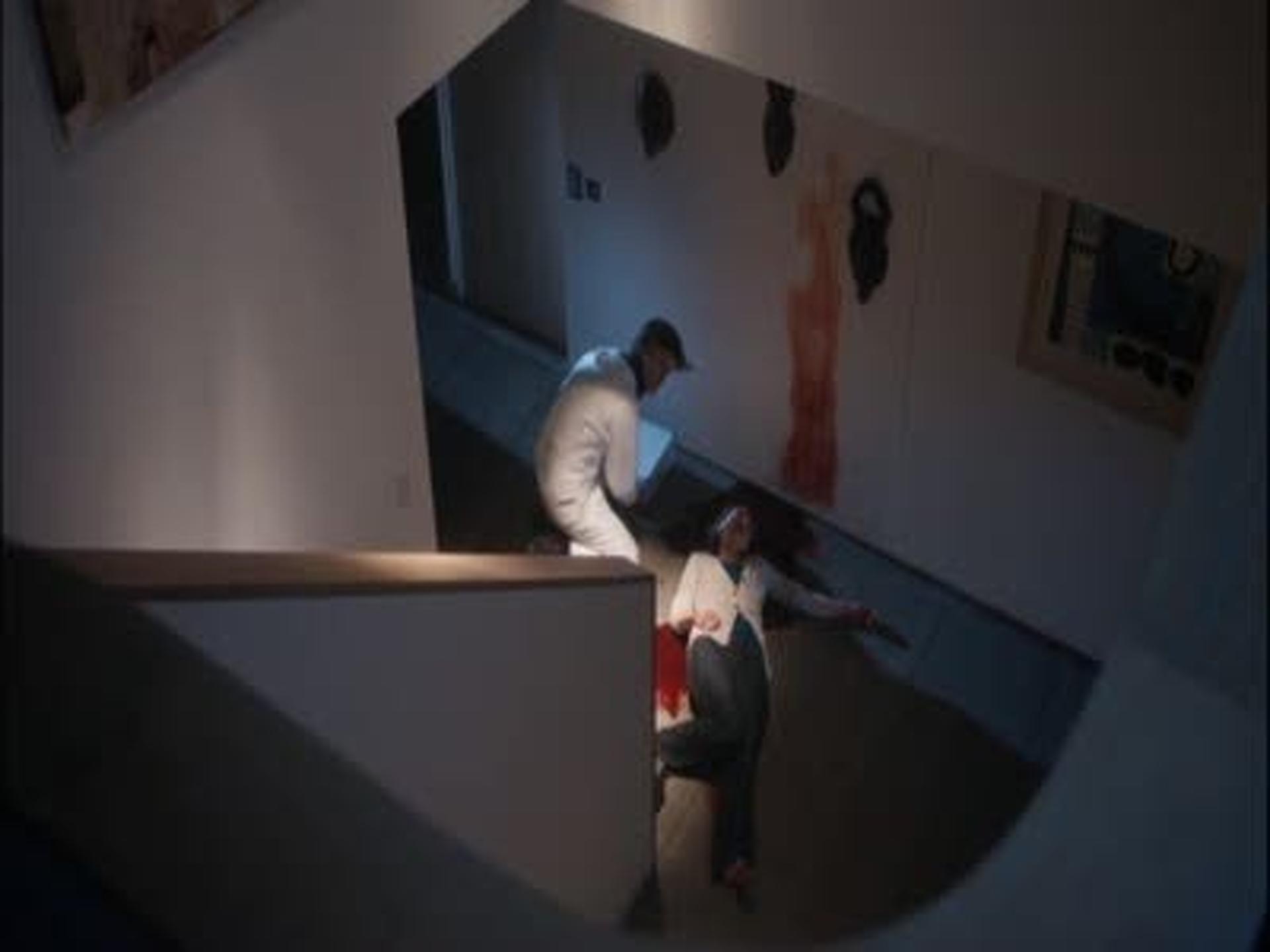 Silent Witness (S13E03): Voids (1) Summary - Season 13 Episode 3 Guide