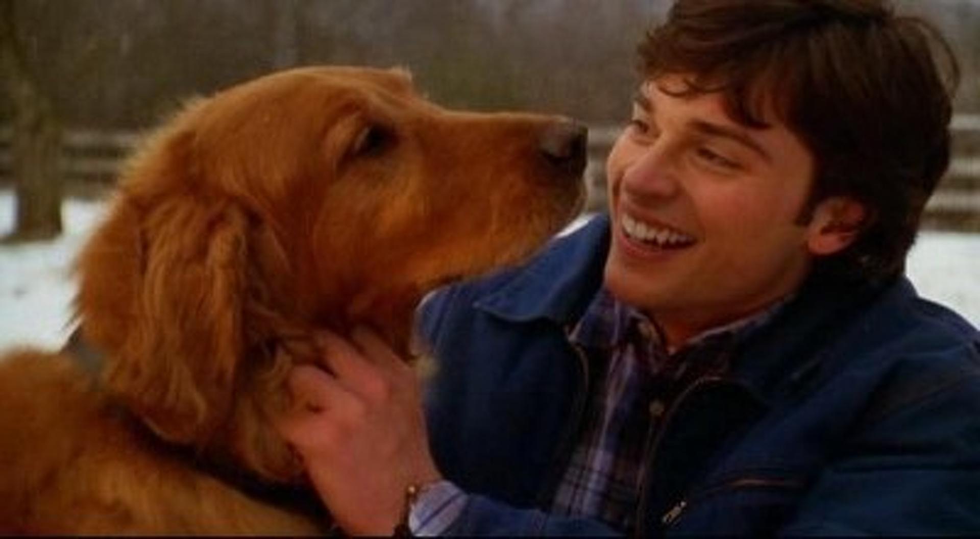 Smallville (S04E14): Krypto Summary - Season 4 Episode 14 Guide