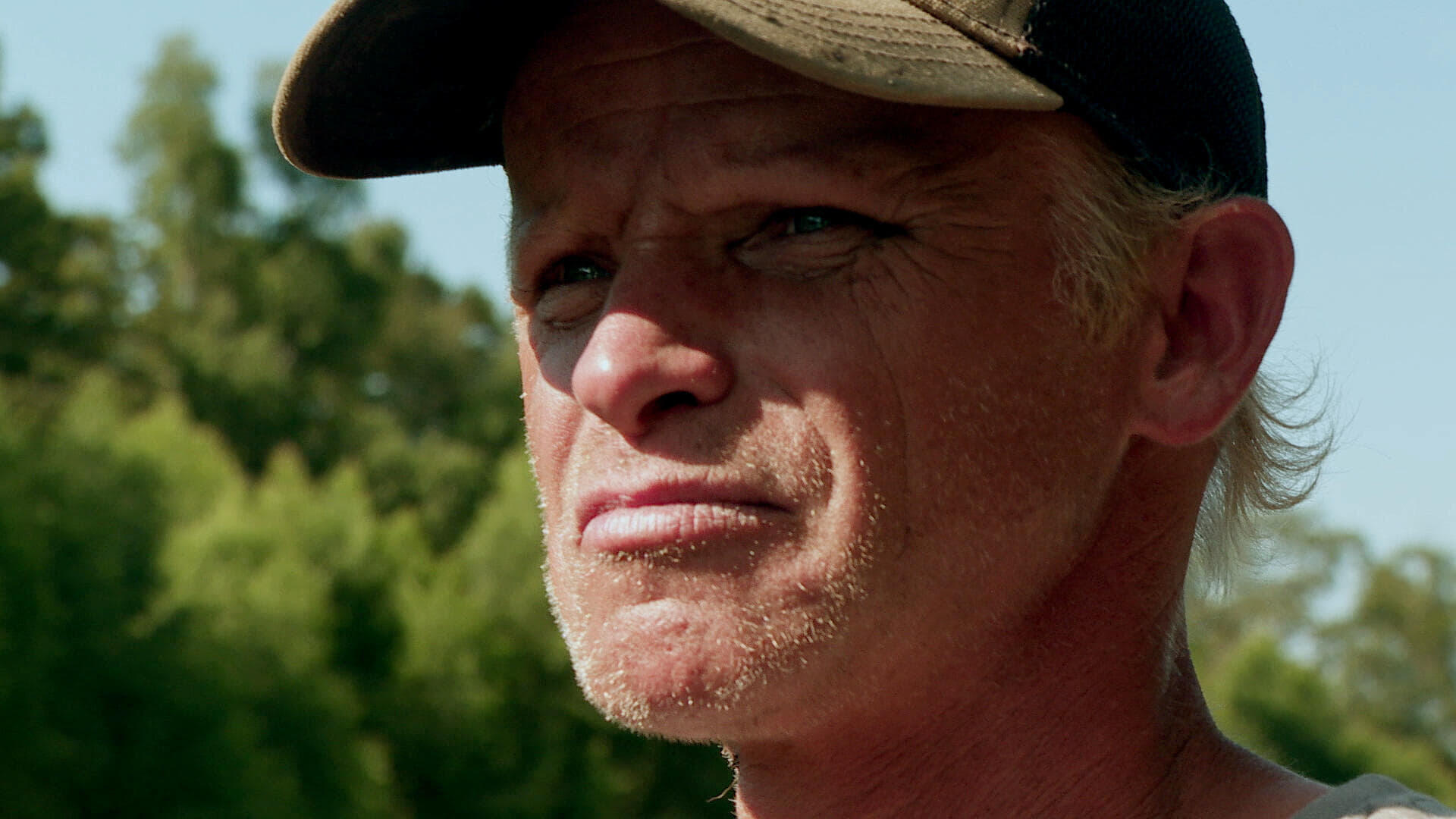 Swamp People (S14E06): Pirate Cursed Gators Summary - Season 14 Episode ...