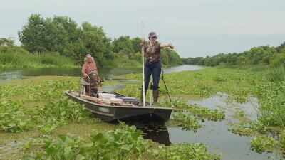 Swamp People Season 17 Episode Guide & Summaries and TV Show Schedule