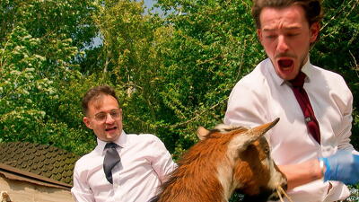 The Apprentice (UK) Season 20 Episode Guide & Summaries and TV Show ...