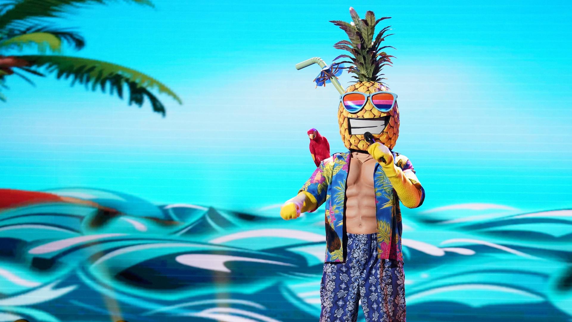 The Masked Singer (S01E02): New Masks on the Block Summary - Season 1 ...