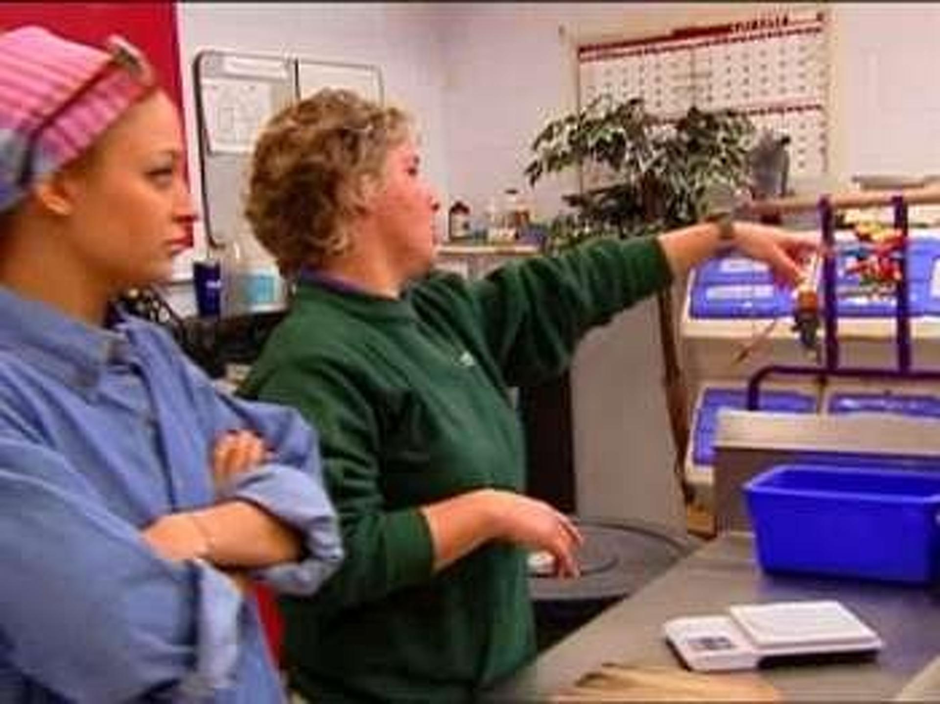 The Simple Life (S03E08): Zoo Summary - Season 3 Episode 8 Guide