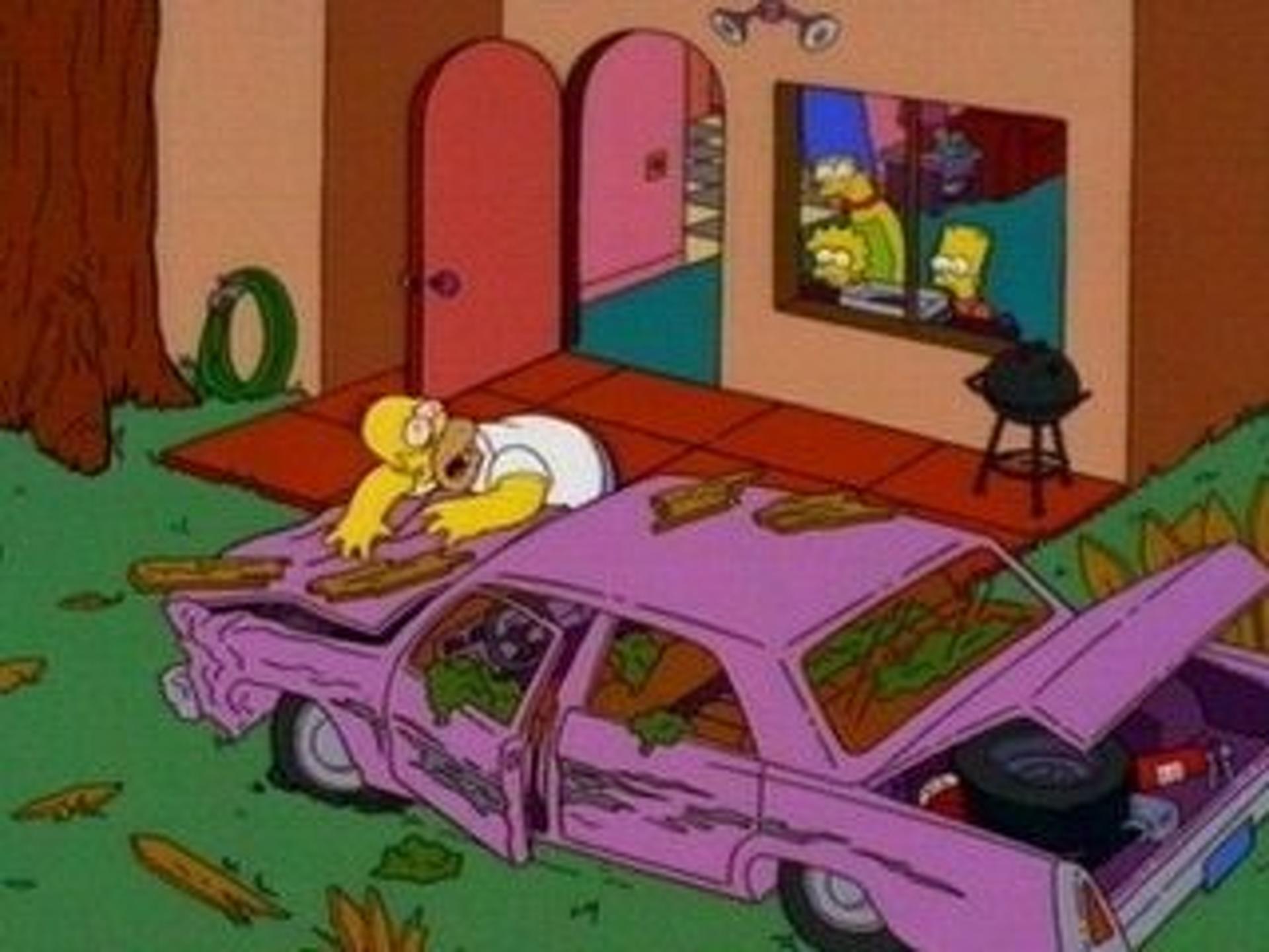 The Simpsons (S10E11): Wild Barts Can't Be Broken Summary - Season 10 ...