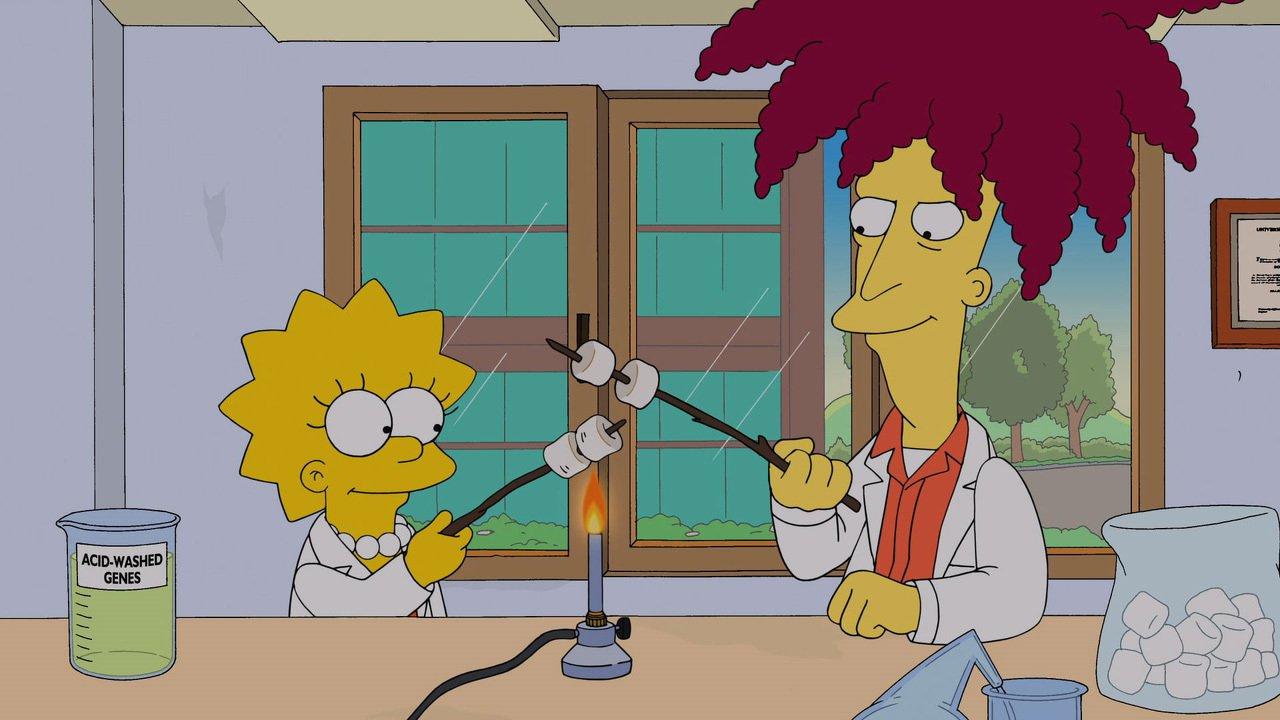 The Simpsons (S25E13): Diggs Summary - Season 25 Episode 13 Guide