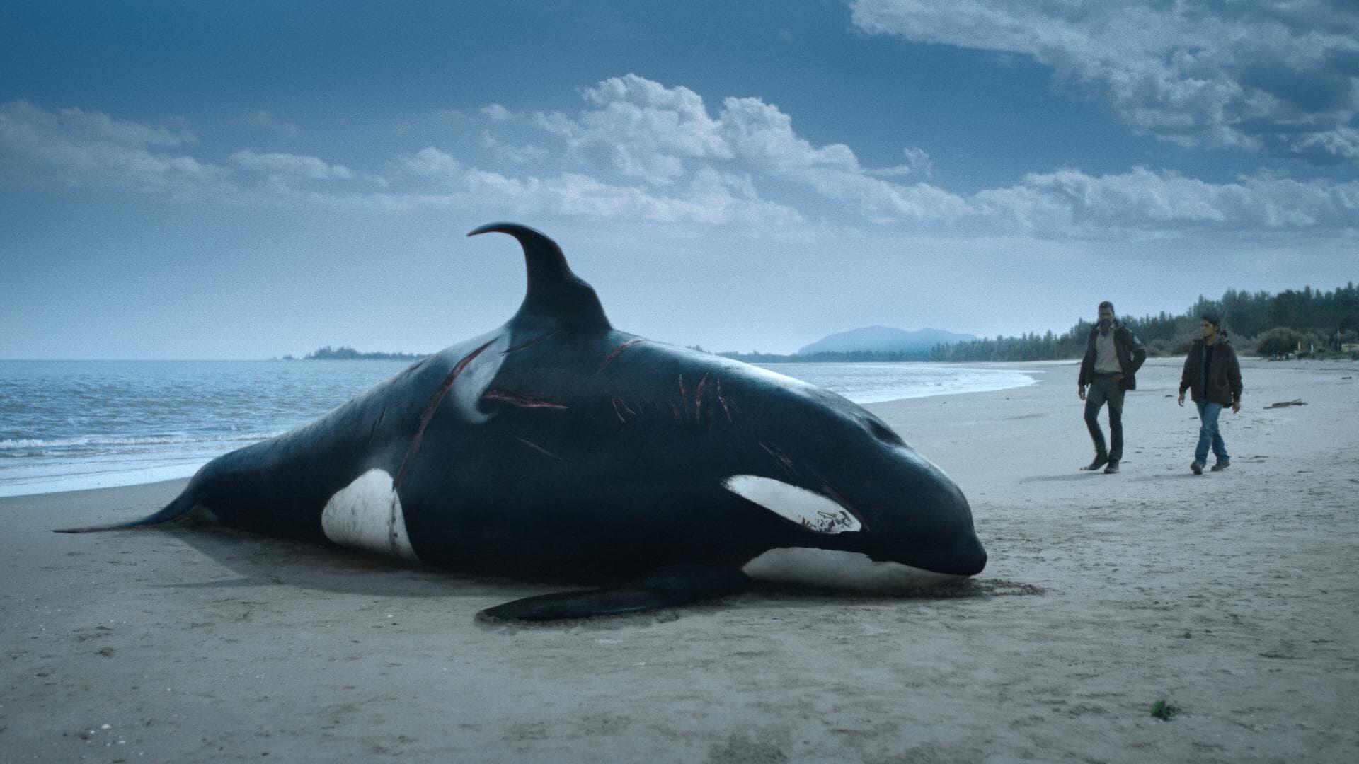 The Swarm (S01E01): Season 1, Episode 1 Summary - Season 1 Episode 1 Guide