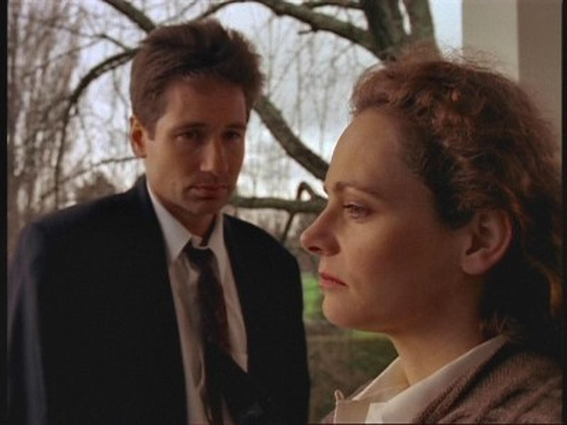 The X-Files (S02E16): Colony (1) Summary - Season 2 Episode 16 Guide