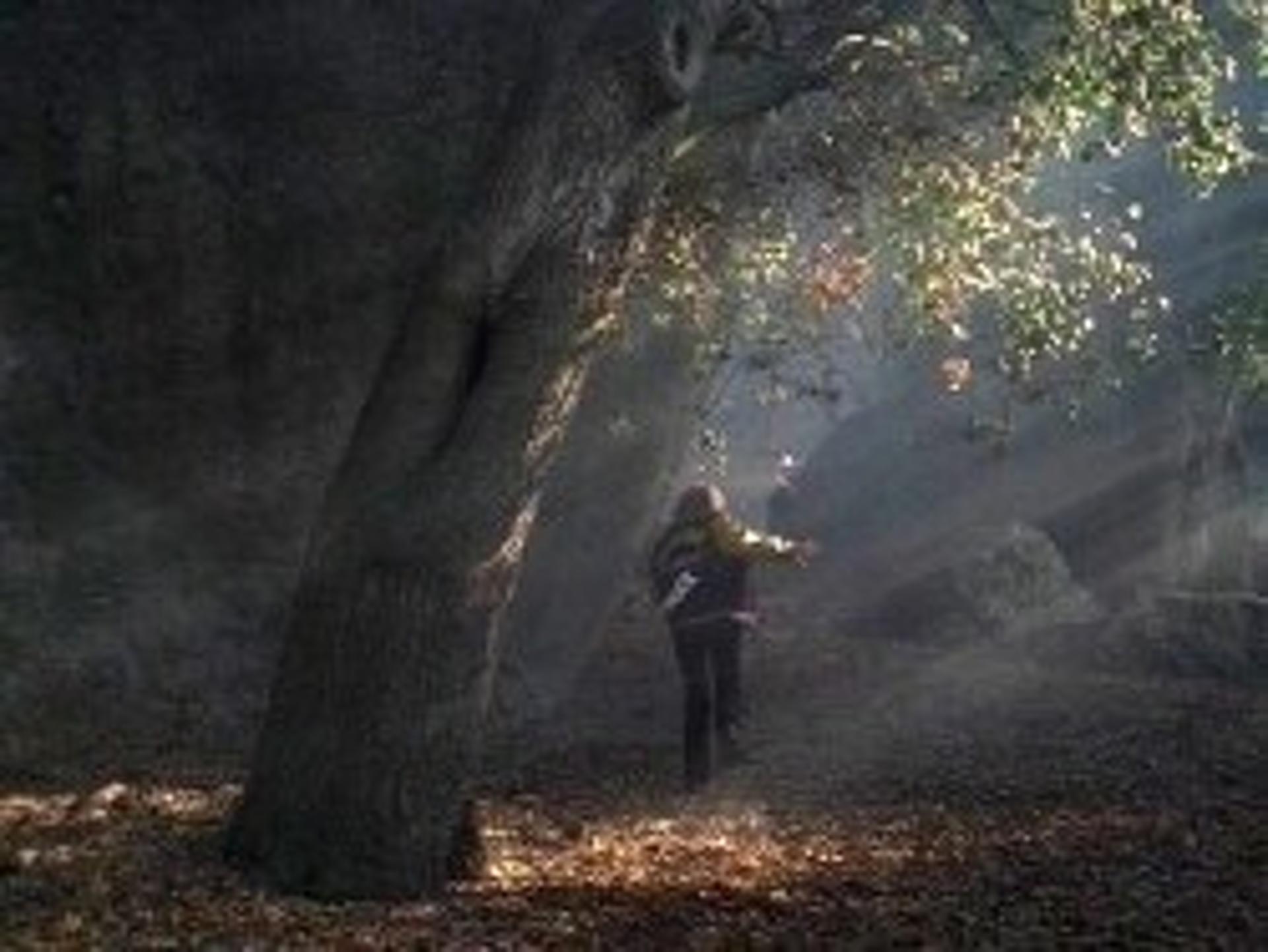 The X-Files (S07E05): Rush Summary - Season 7 Episode 5 Guide