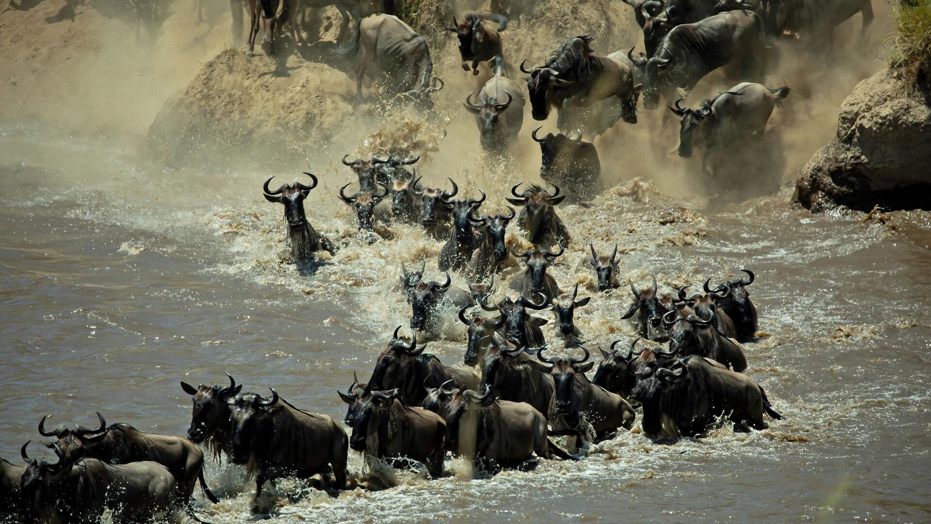 Welcome to Earth (S01E03): Mind of the Swarm Summary - Season 1 Episode ...