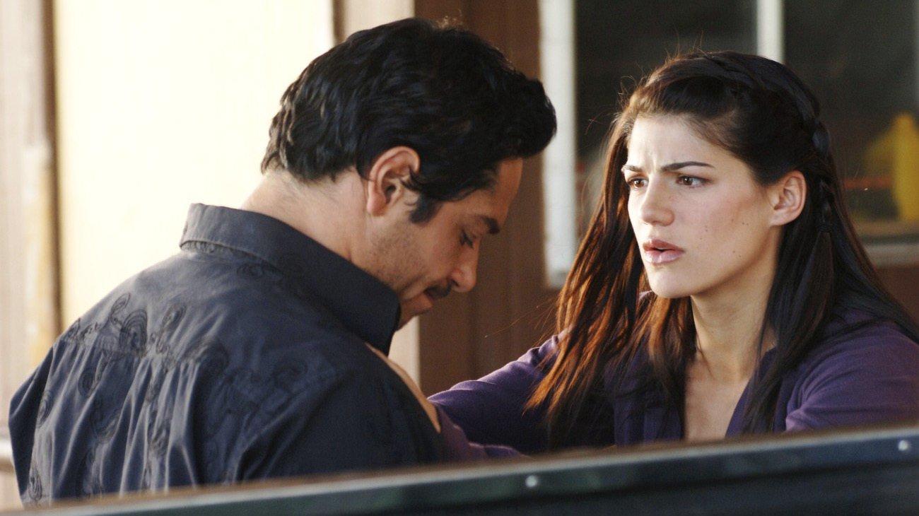 Wildfire (S03E08): The Goodbye Summary - Season 3 Episode 8 Guide