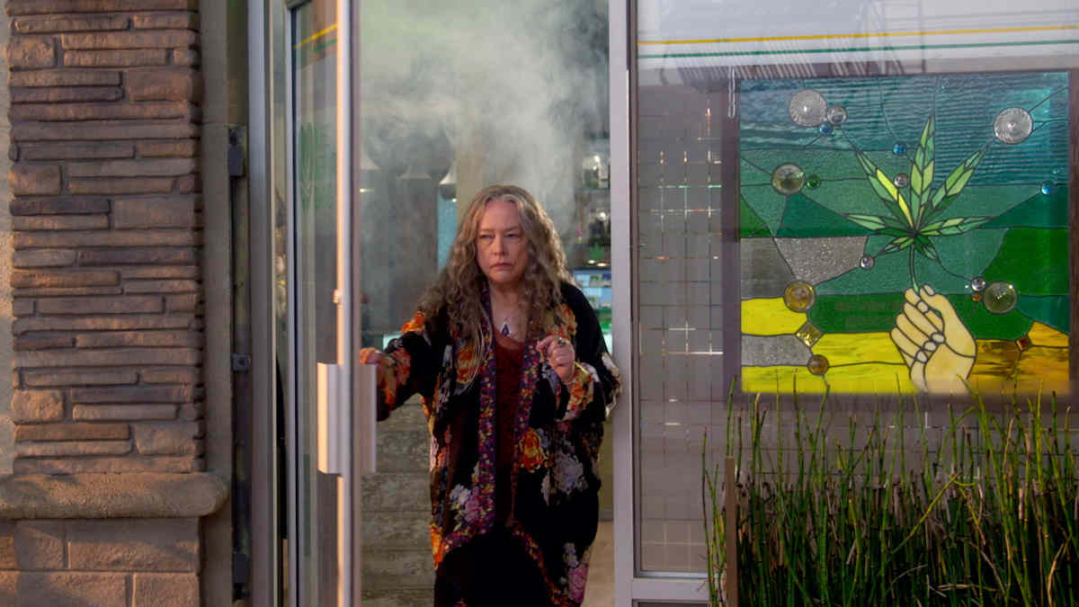 Disjointed Season 1 Episode Guide & Summaries and TV Show Schedule
