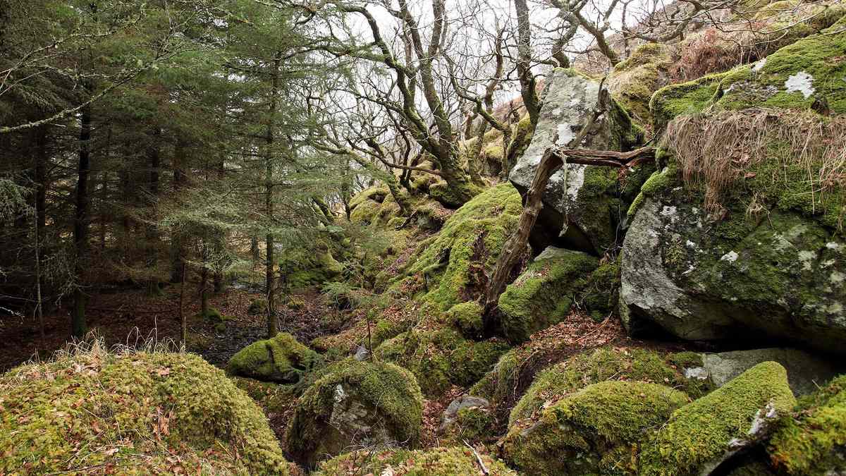 Eden Season 1 Episode Guide & Summaries and TV Show Schedule