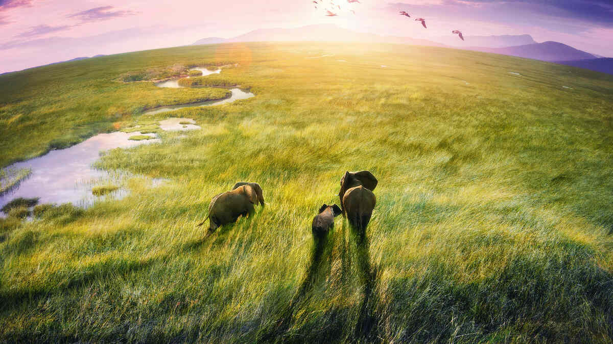 Planet Earth III Season 1 Episode Guide & Summaries and TV Show Schedule